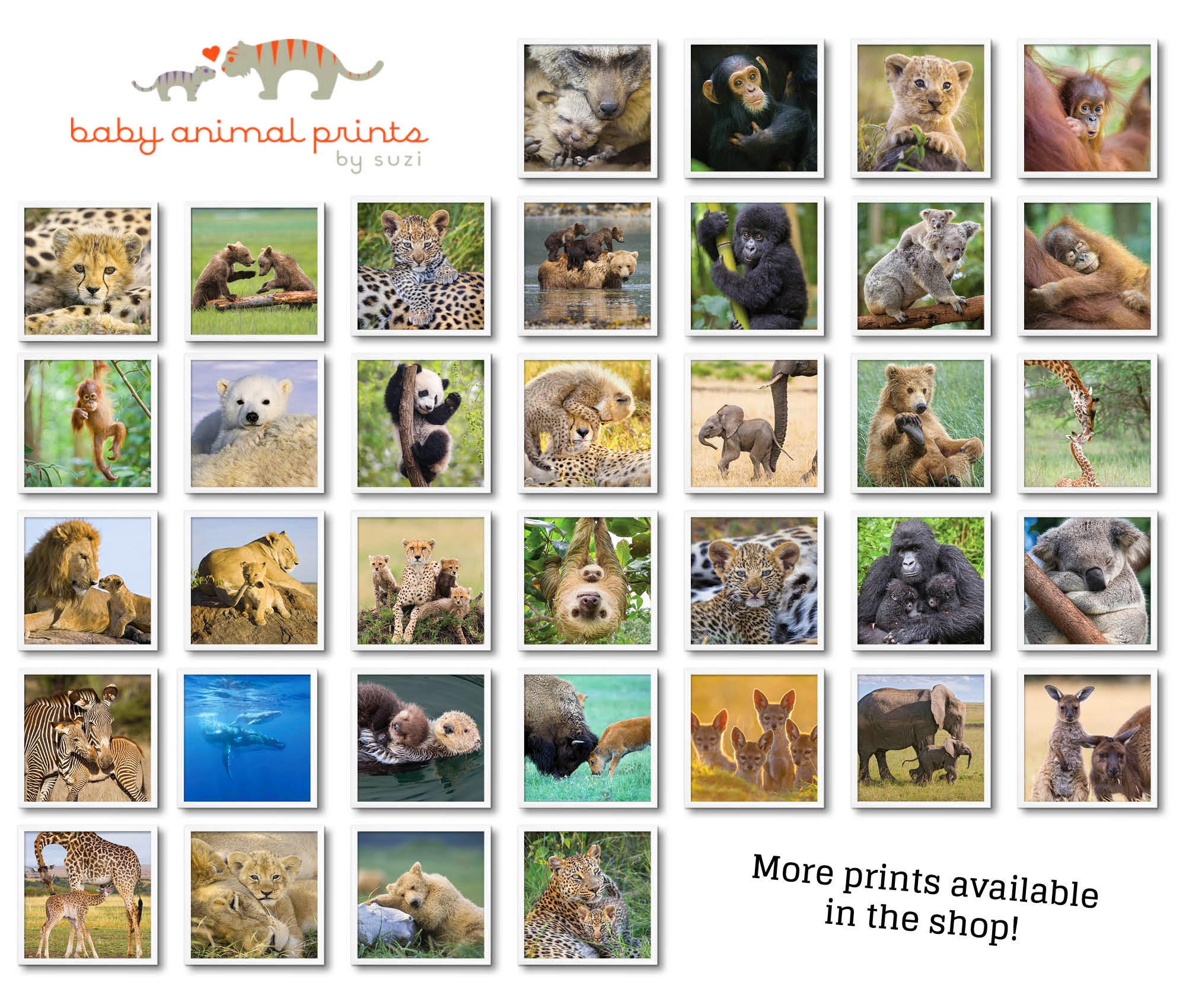 Safari Nursery Decor, Safari Animal Prints, Set of 4, Safari Animals ...