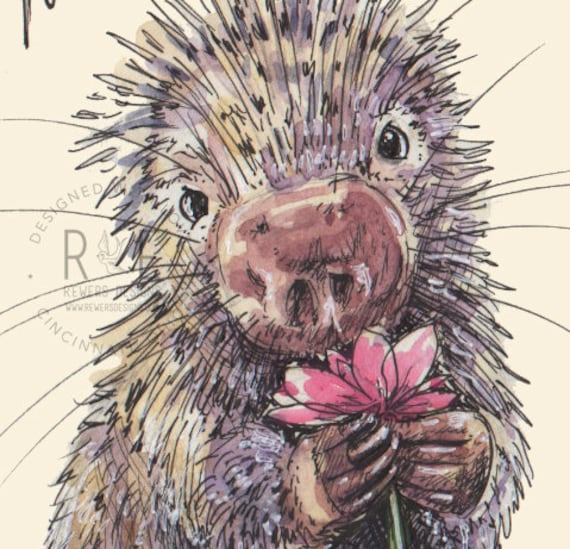 Porcupine art porcupine watercolour porcupine picture Mixed Media ...