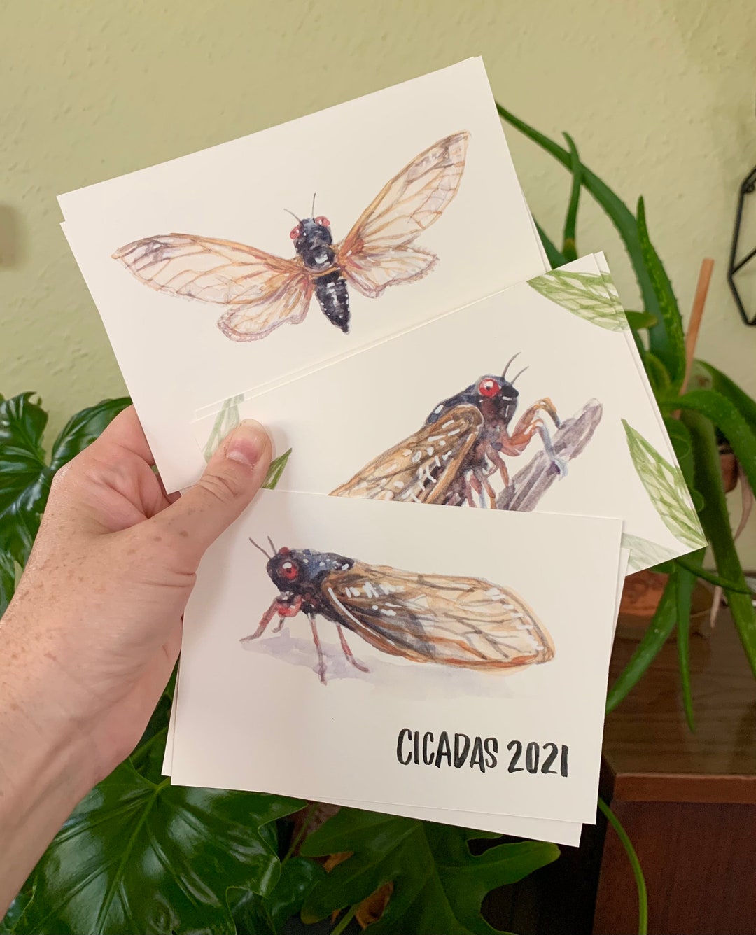 Cicada Brood X Post Cards - 6 Pack - Etsy