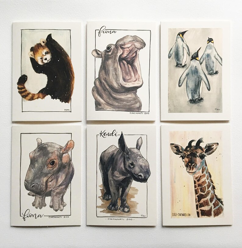 Cincinnati Zoo Animals - 6 Pack Greeting Card Set - Etsy