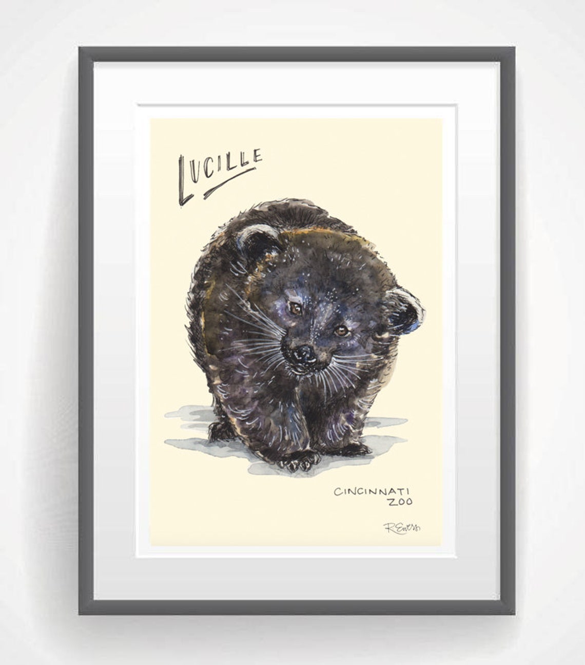 Lucille the Bearcat Watercolor Art Print, Animals, Zoo, Cincinnati Art ...