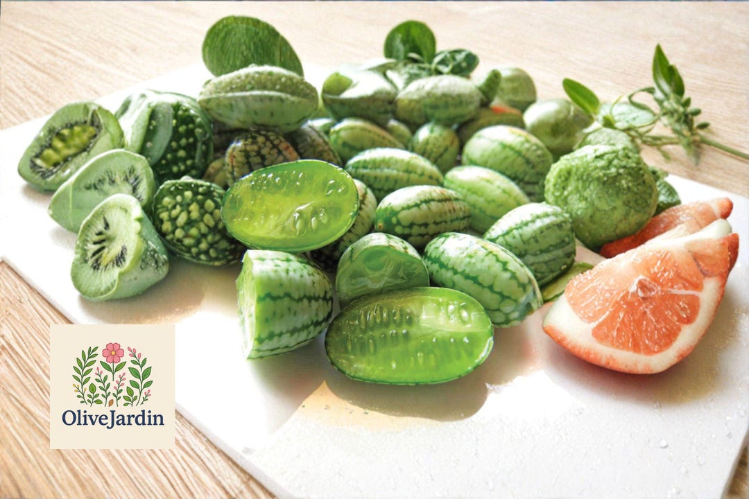 20 Cucamelon Seeds – Mexican Gherkin Melothria Scabra – Mini Cucumber ...