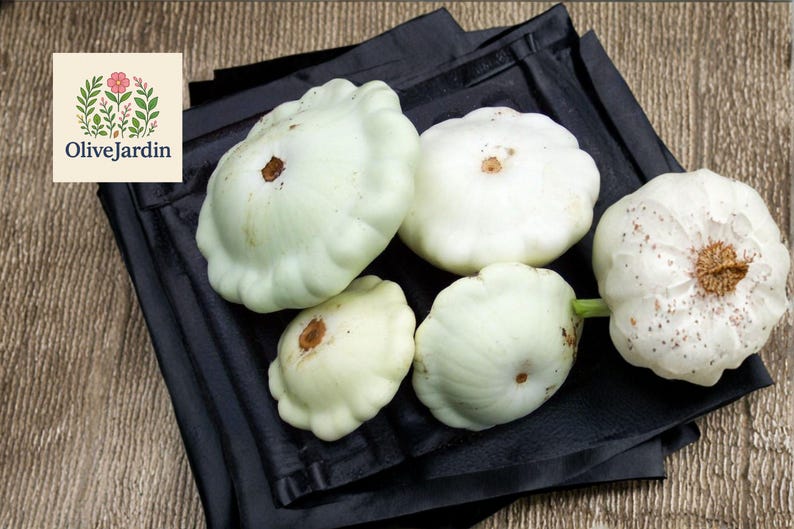 20 Early White Bush Scallop Squash Seeds – Heirloom Patty Pan Type – Early Summer Variety - Etsy