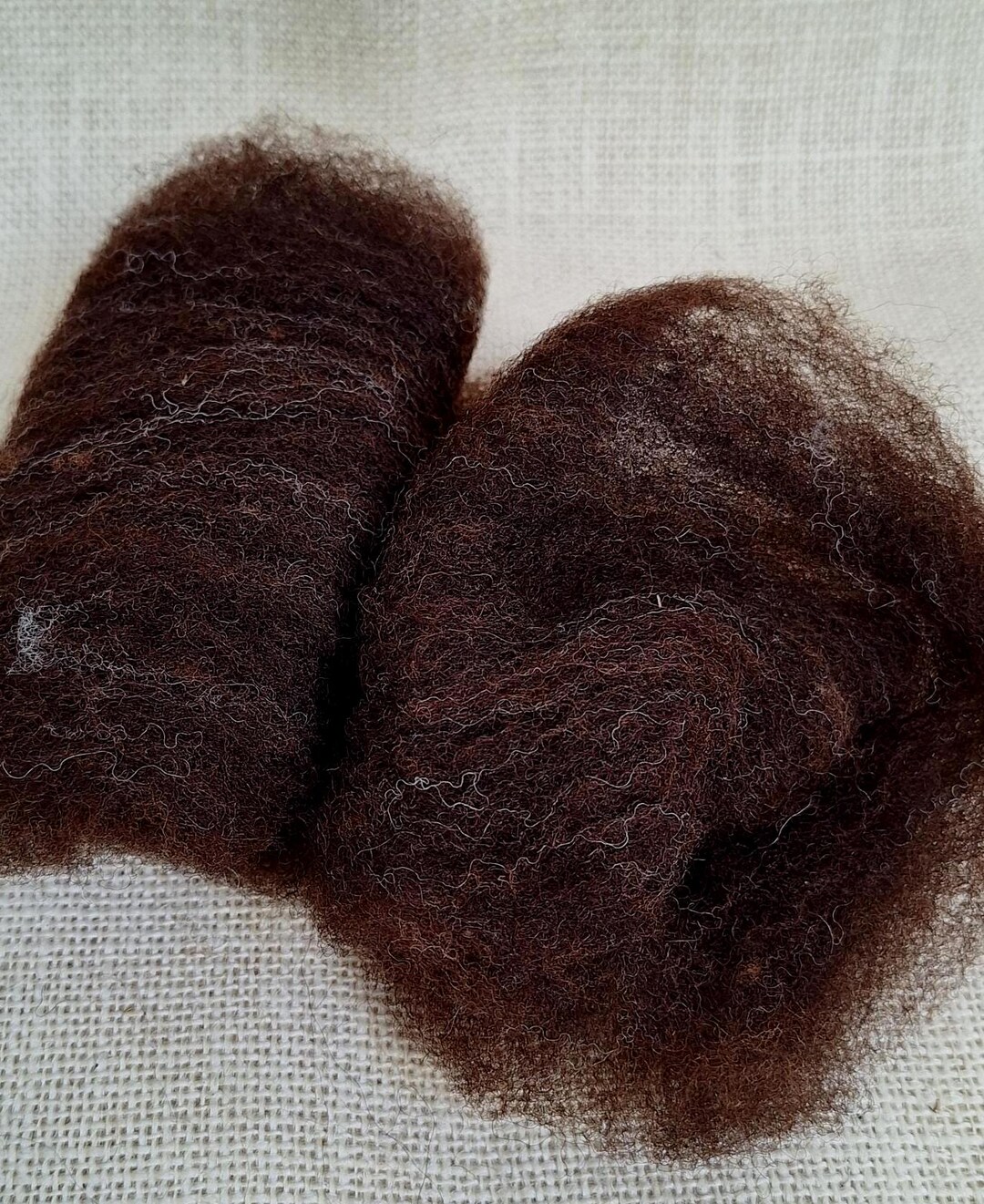 Zwartbles Carded Wool, Natural Dark Brown, Needle Felting, Spinning ...