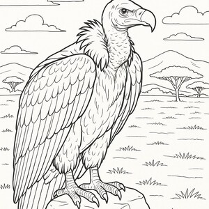African Animal Coloring Pages for Adults – 10 Realistic Safari Designs ...