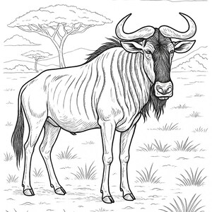 African Animal Coloring Pages for Adults – 10 Realistic Safari Designs ...
