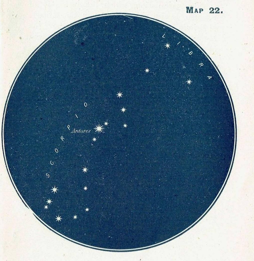 1944 Antares Constellation - Original Vintage Print by Gall - Star ...