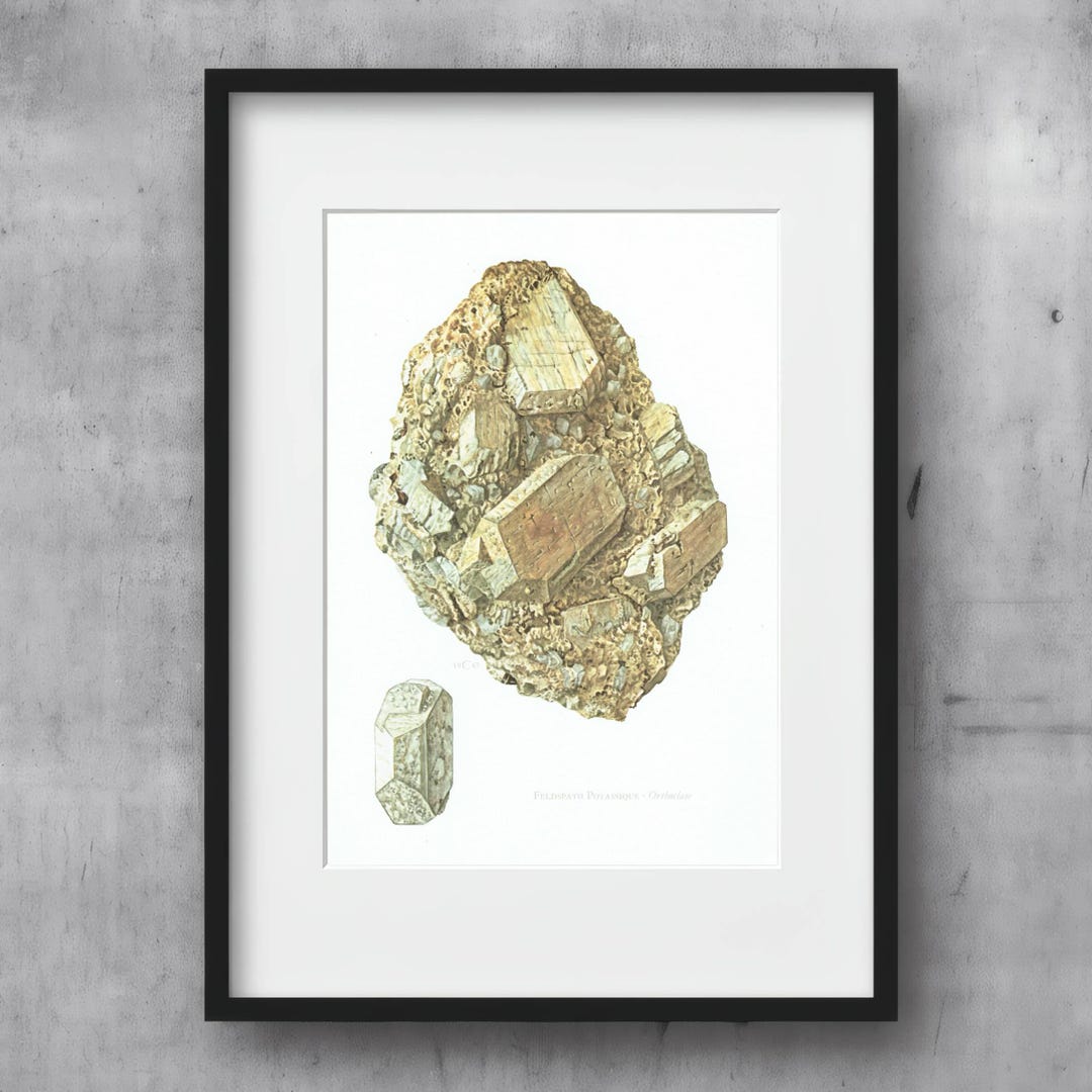 1969 Orthoclase Feldspar - Original Vintage Print by Caspari - Mineral ...