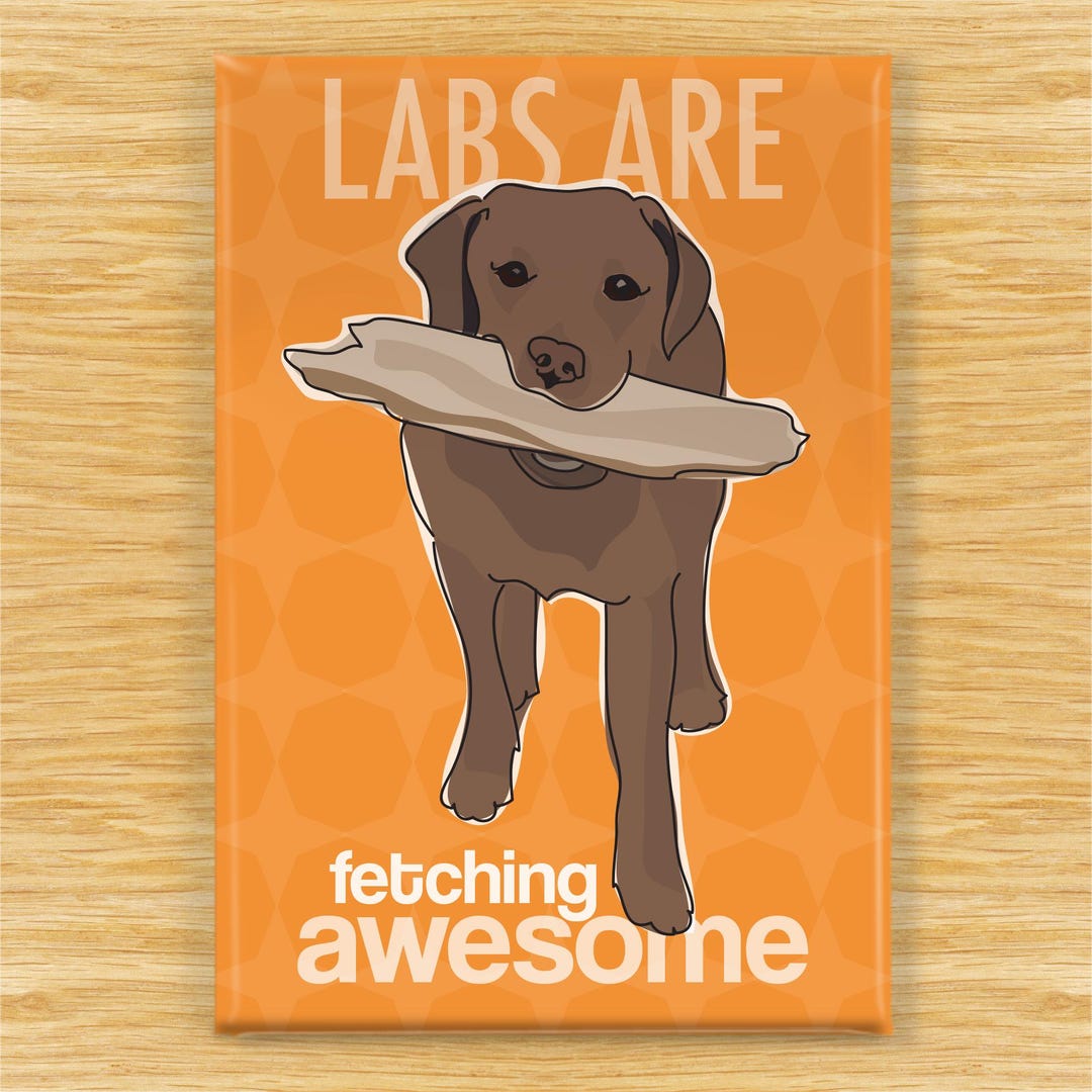 Labrador Retriever Magnet - Labs Are Fetching Awesome - Chocolate Lab ...