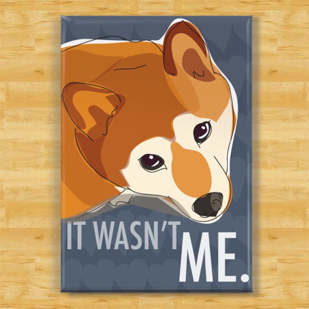 Shiba Inu Magnet Was Not Me Shiba Inu Gifts Funny Dog Fridge Magnets - Etsy