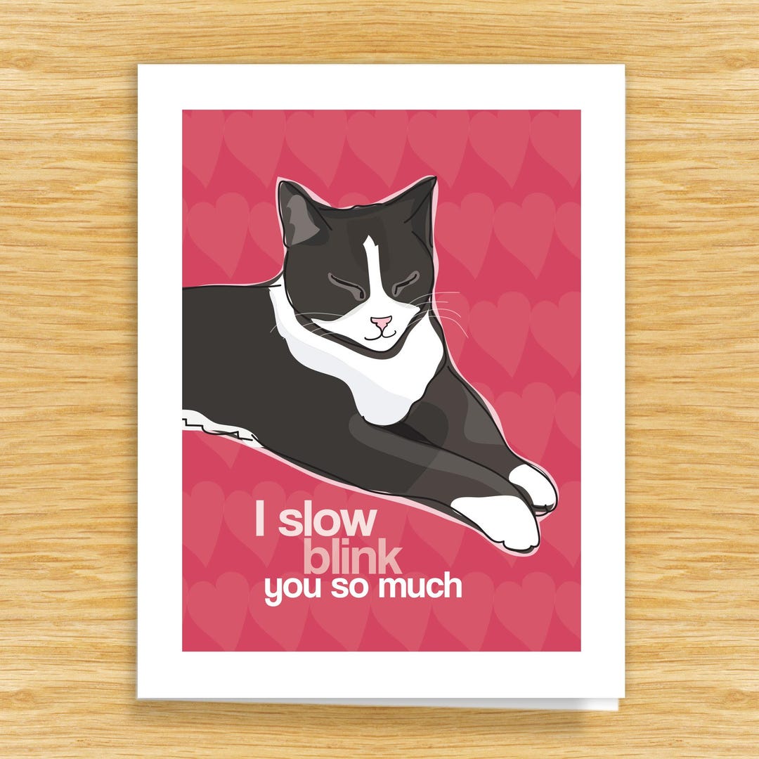 Cat Valentines Card – I Slow Blink You Valentine Cards – 16 Color Cats ...