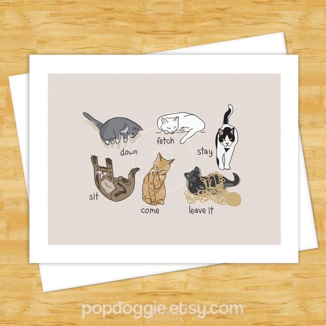 Cat Card - Cats Being Cats - Funny Cat Note Cards - Etsy