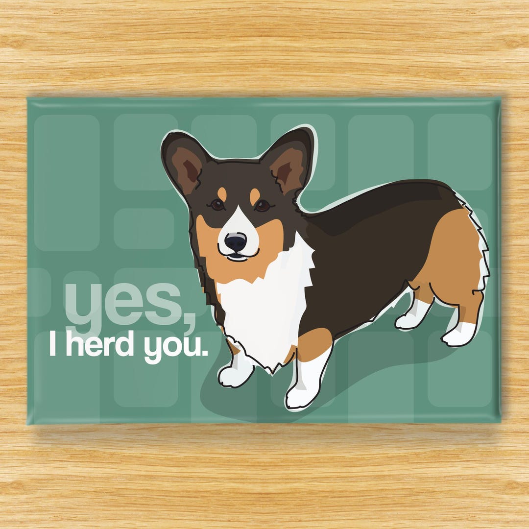 Tri Color Corgi Magnet – Funny Dog Fridge Magnets – Tricolor Corgis ...