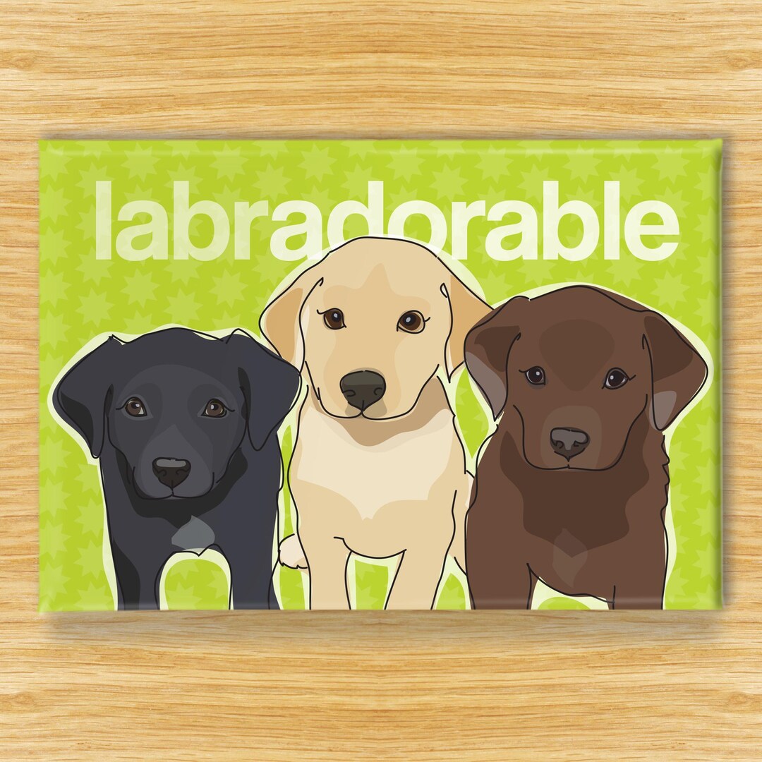 Labrador Retriever Magnet – Funny Dog Fridge Magnets – Black, Yellow ...