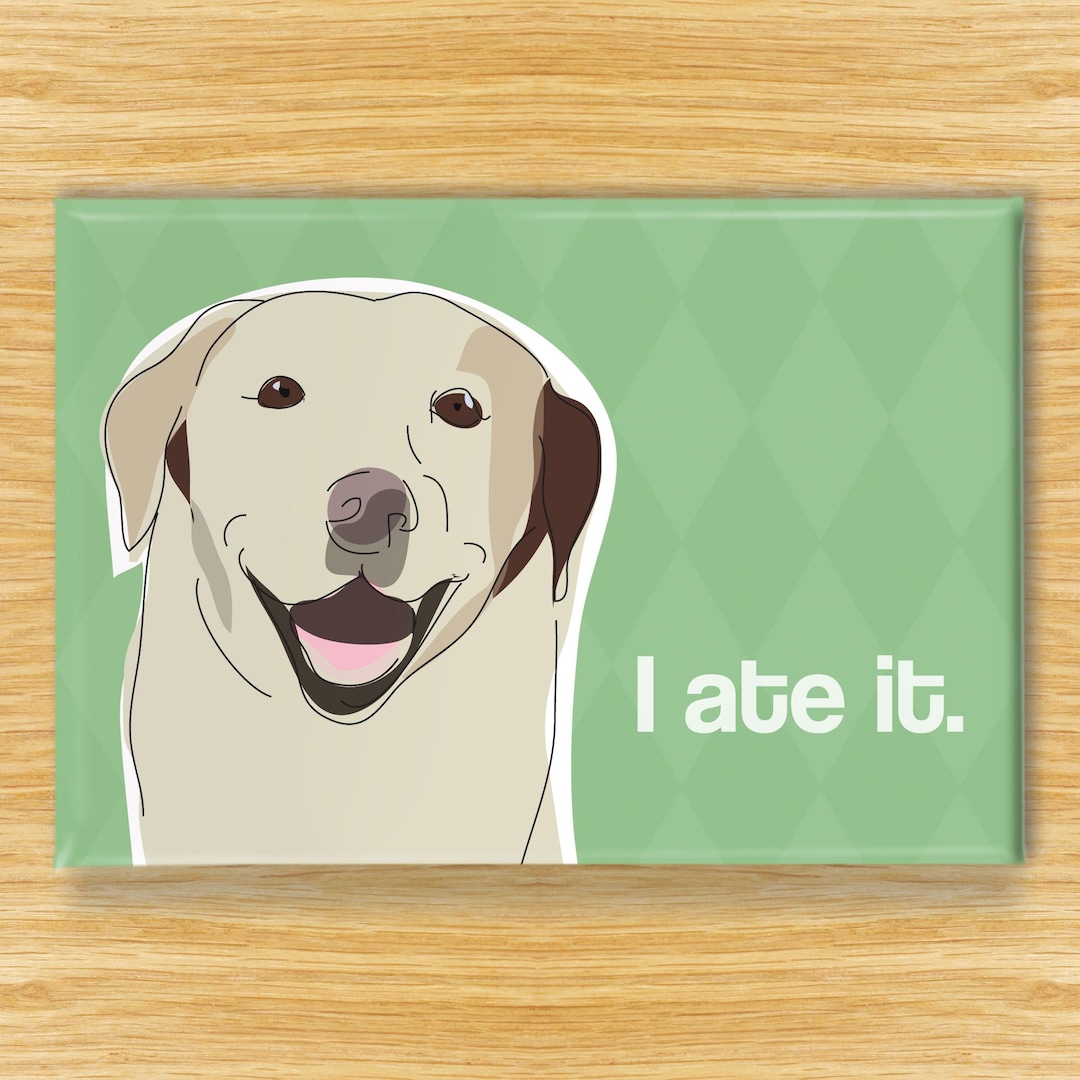 Yellow Lab Magnet – Funny Dog Fridge Magnets – Labrador Retriever ...