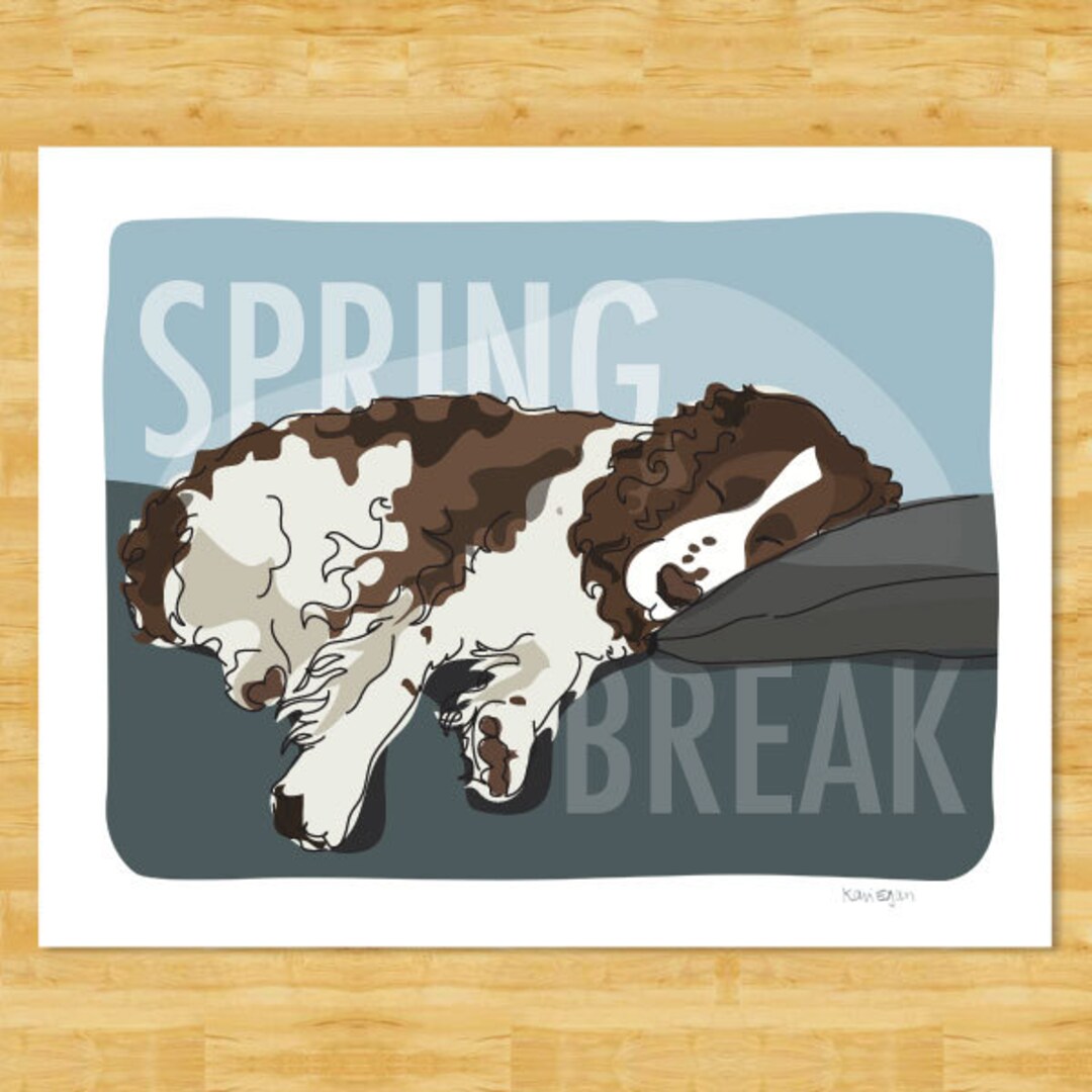Springer Spaniel Art Print Spring Break Funny Dog Pop Art Prints ...