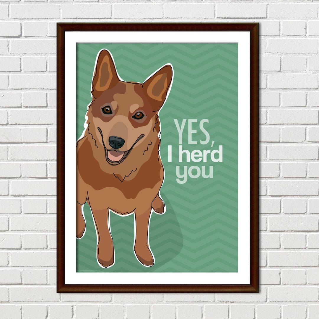 Red Heeler Art Print – Australian Cattle Dog Illustration Poster ...
