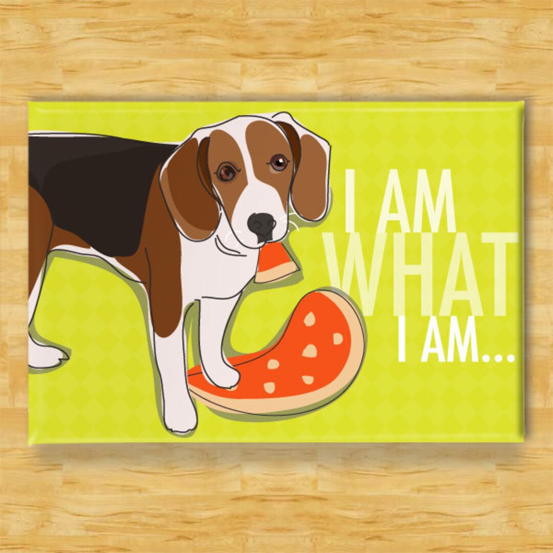 Beagle Magnet I Am What I Am Beagle Gifts Funny Dog Fridge Magnets - Etsy