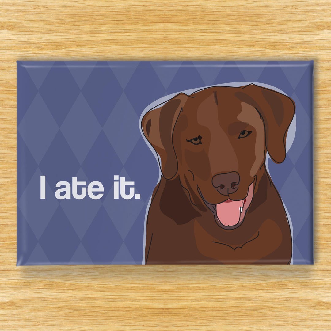 Chocolate Lab Magnet – Funny Dog Fridge Magnets – Labrador Retriever ...