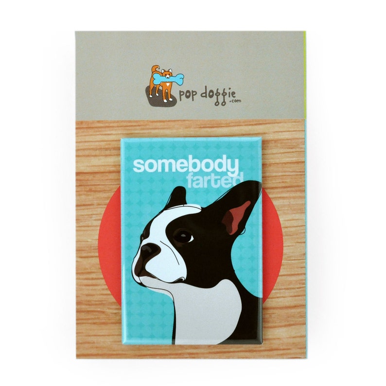 Boston Terrier Gifts Set of 4 Fridge Magnets With Funny - Etsy