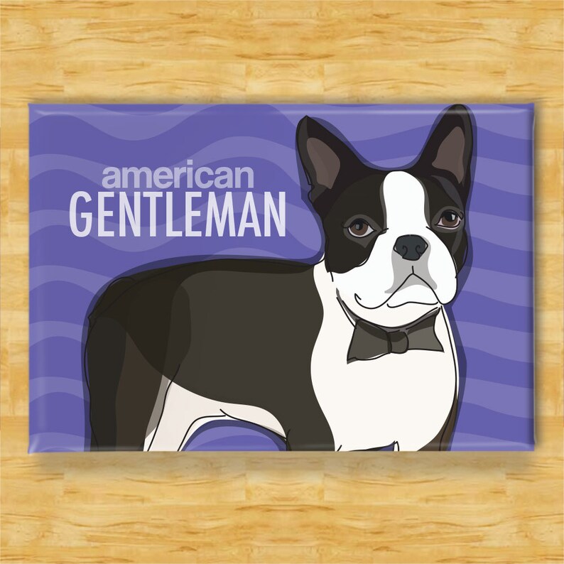 Boston Terrier Magnet American Gentleman Boston Terrier - Etsy