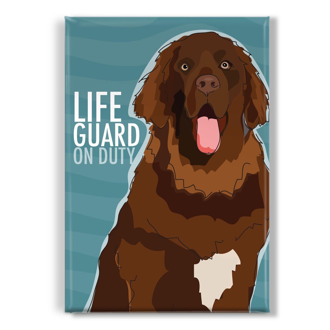 Newfoundland Magnet - Lifeguard on Duty - Brown Newfoundland Newfie ...