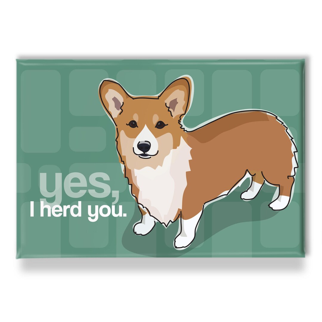 Corgi Admits "yes, I Herd You" – Herding Dog Pun With Red Pembroke ...