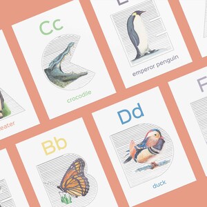 ABC Animal Flashcards, 4x6 Animal Print, Alphabet Playroom Sign ...