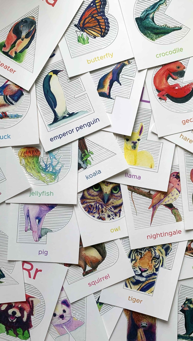 ABC Animal Flashcards 4x6 Animal Print Alphabet Playroom - Etsy
