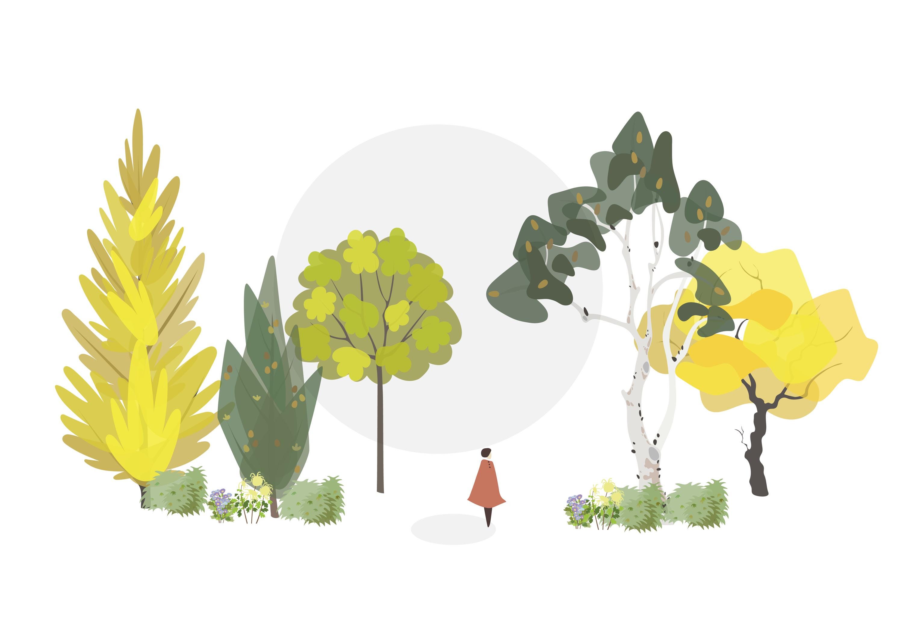 Tree Vector, Trees Vector, Outdoor Plants Illustration, Vector Tree ...