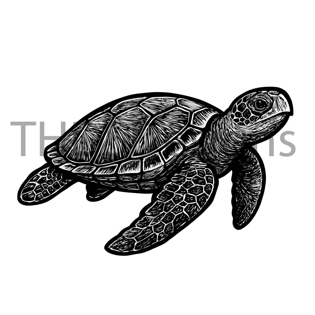 Sea Turtle Clipart SVG | Bold Black and White Line Art | Hand Drawn ...