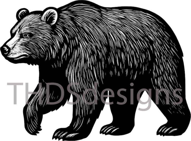 Hand Drawn Black Bear SVG PNG JPEG Clipart | Clip Art for Diy Crafts ...