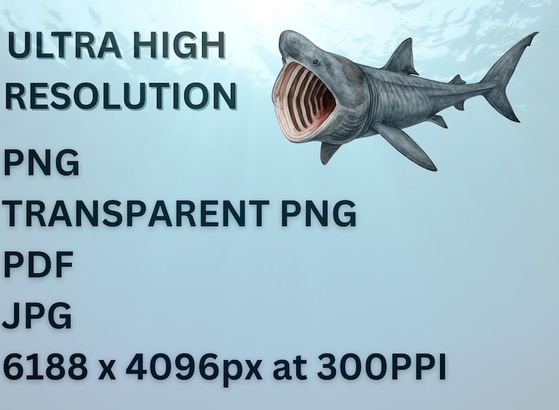 Basking Shark Watercolor Clipart | Ocean Sea Life PNG JPG Pdf SVG ...