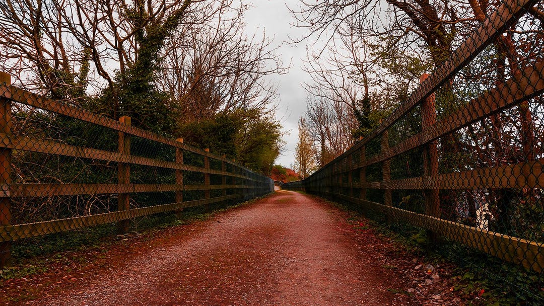 Autumn Pathway - Digitally Stylized Photo - Wall Art Print - Etsy
