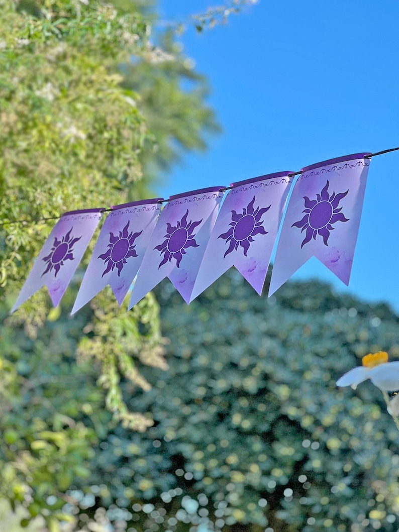 Custom Tangled Flag Sun Birthday Banner, Waterproof Flag, Tangled Sun ...