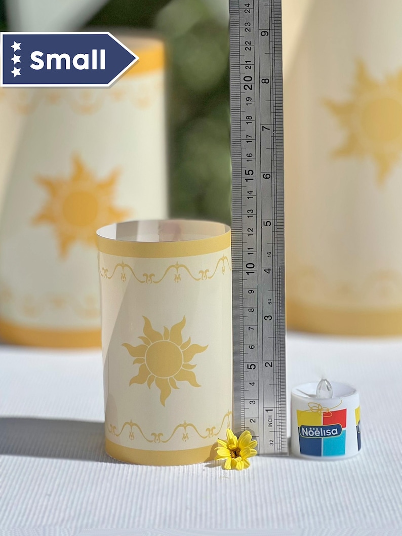 Tangled Lantern Luminaries, Set of 10 Lighted Souvenir for Engagements ...