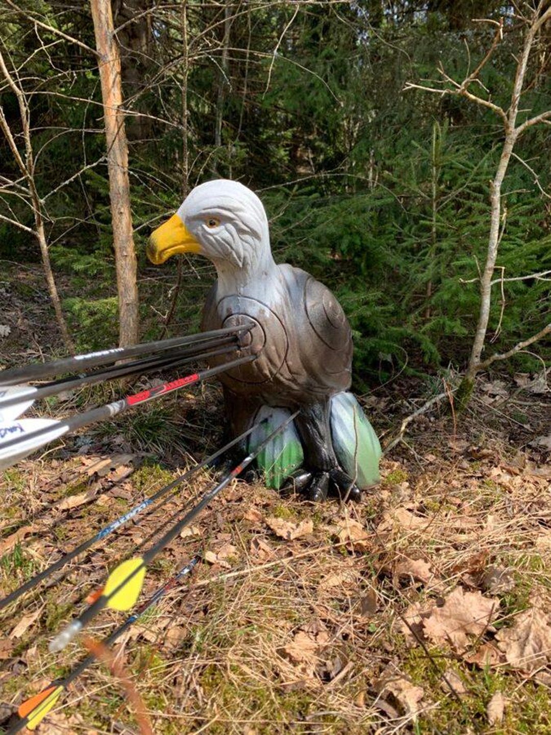 Eagle, Groundhog , Rabbit Hunting , Nature, Animal, Hunting Dad Gift ...