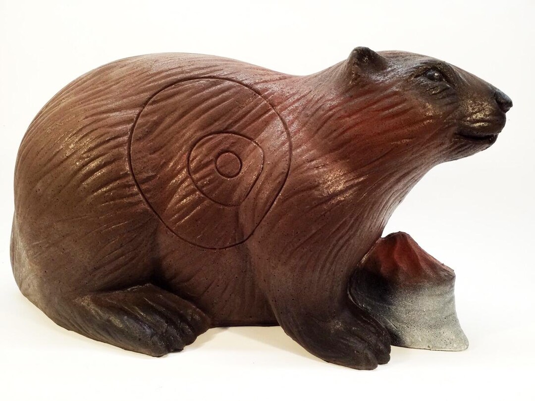 Beaver Groundhog , Rabbit Hunting , Hedgehog , Nature, Animal, Hunting ...