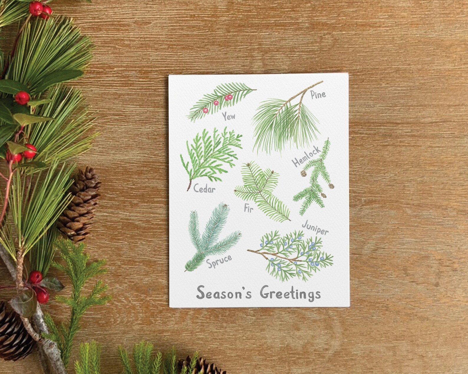 Conifer Holiday Card Pine Christmas Card Cedar Christmas - Etsy