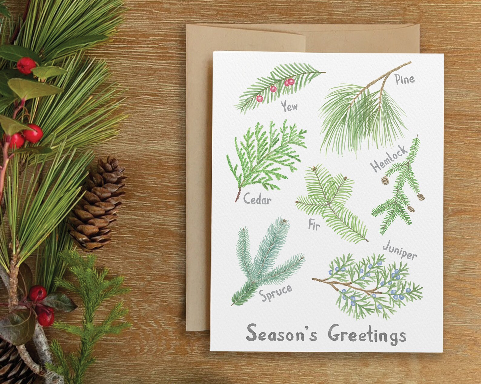 Conifer Holiday Card, Pine Christmas Card, Cedar Christmas, Spruce ...
