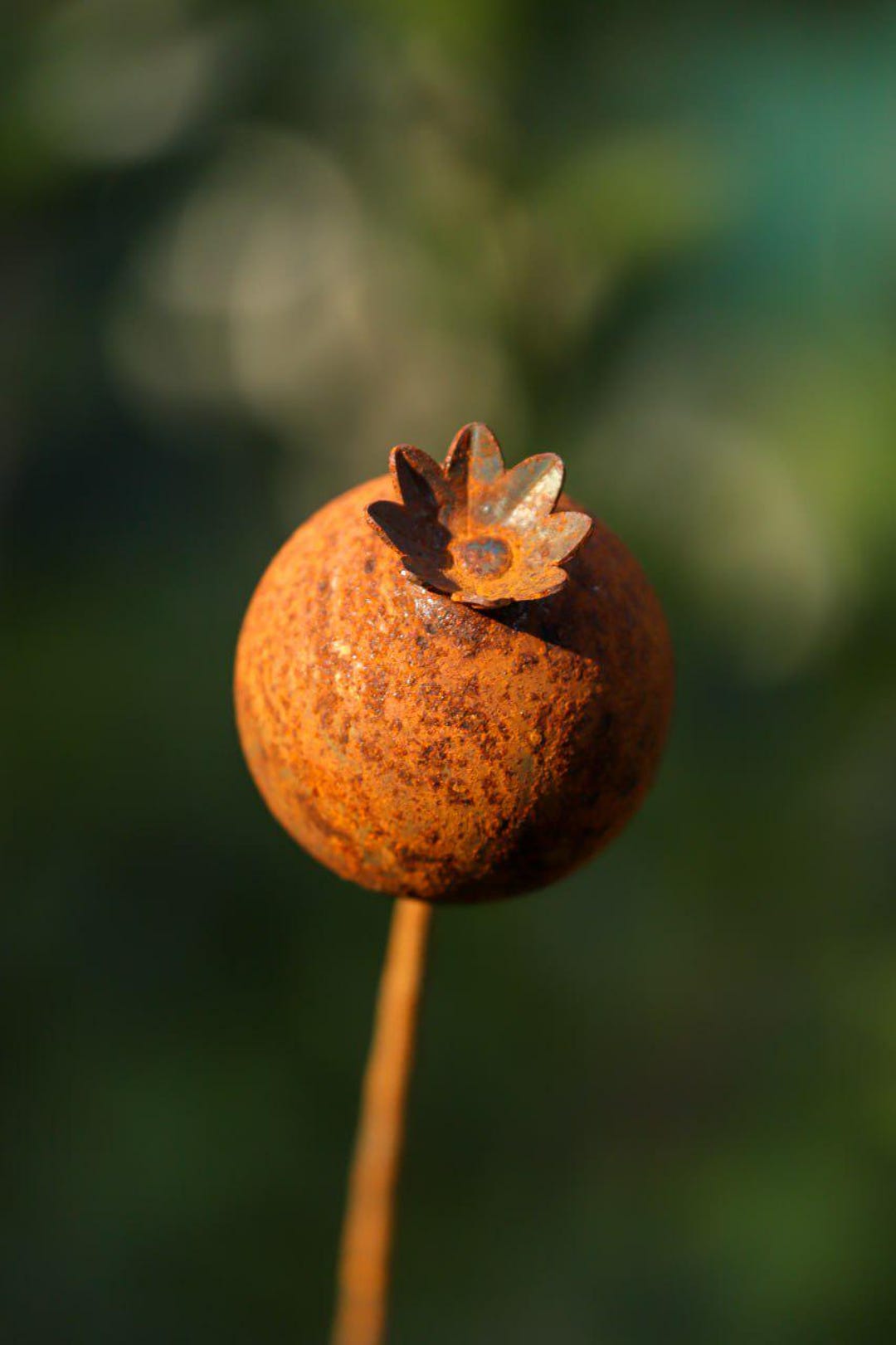 Rustic Rusty Metal Poppy Head Seed Poppies Flower Garden Art Garden ...