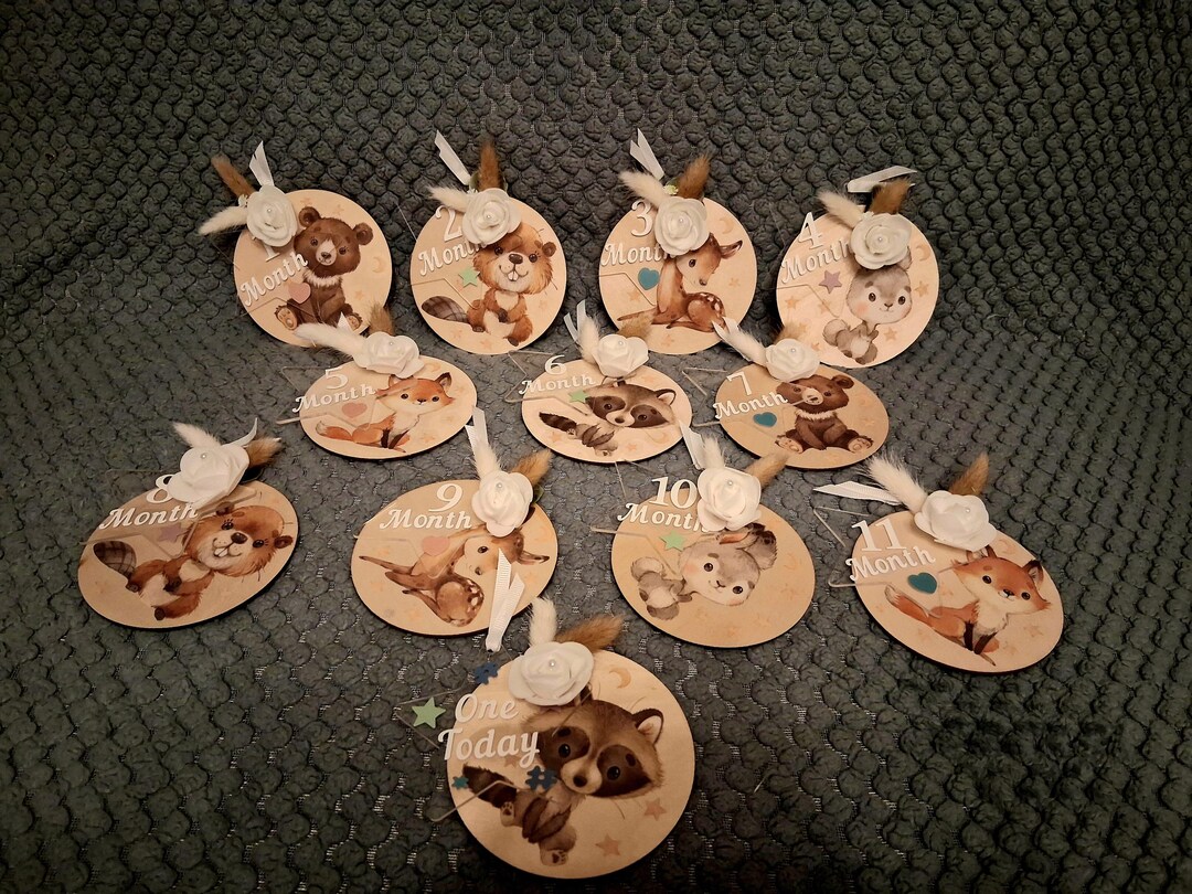 Baby Month Milestone Plaques - Etsy