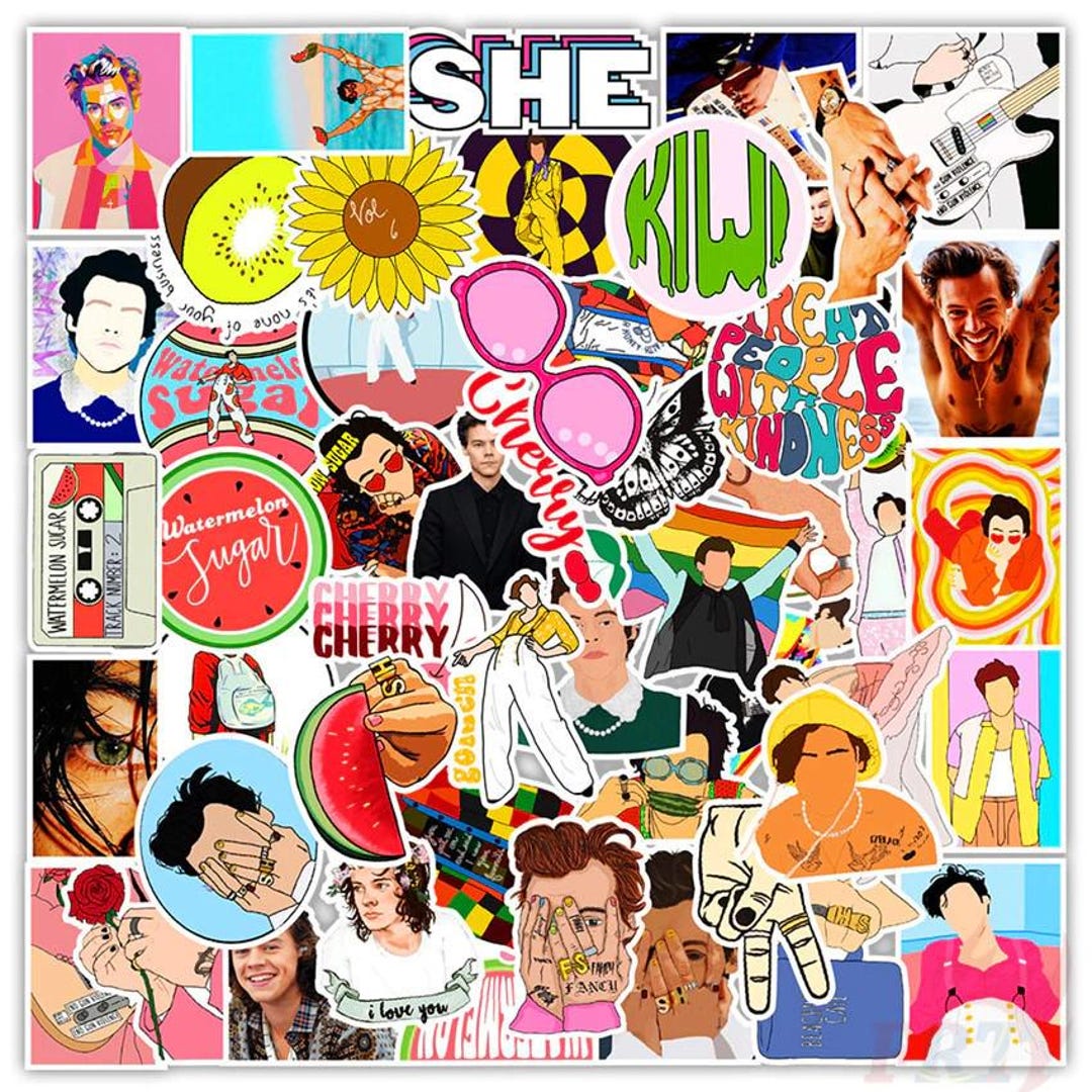 100 Assorted Singer Sticker Pack for Water Bottle | Skate Board | Note ...