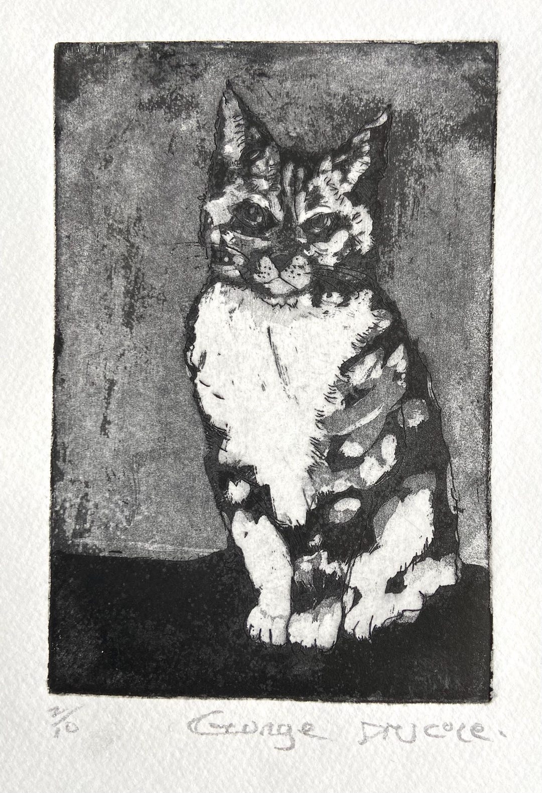 George the Cat Original Etching on Somerset Satin. Hand Inked and ...