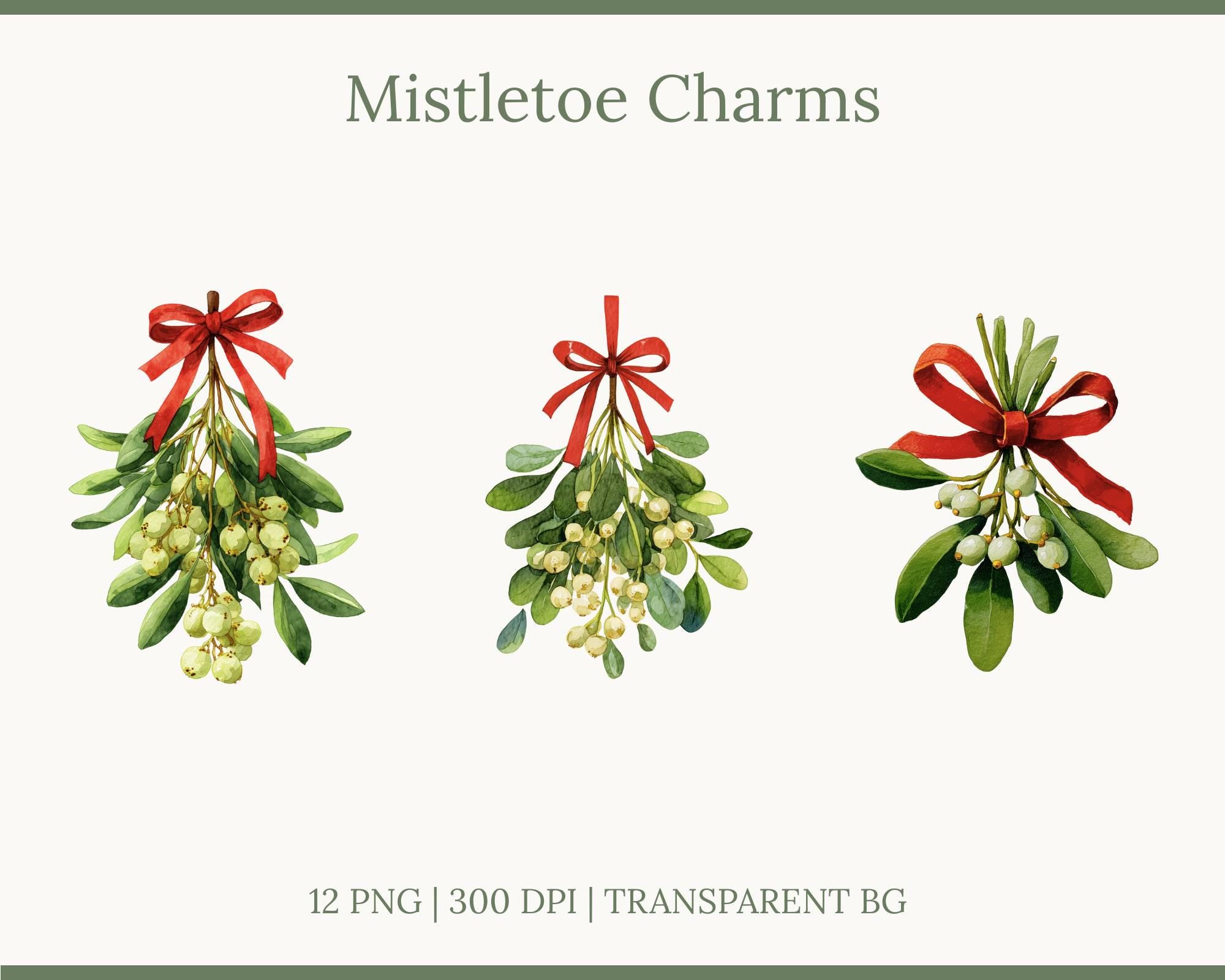 Watercolor Mistletoe Clipart, Christmas Greenery PNG, Holiday Foliage ...