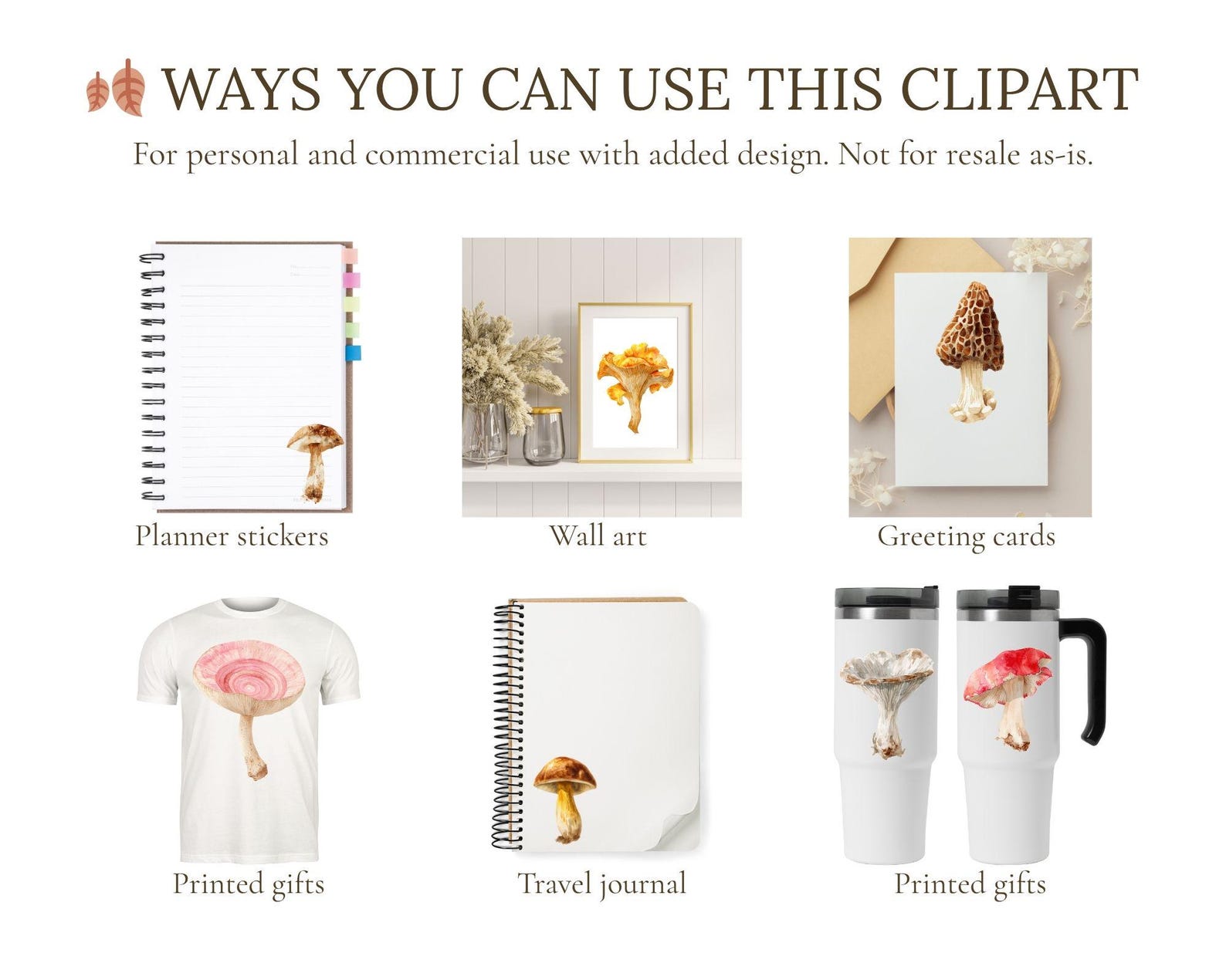 Mushroom Clipart – 38 Watercolor Pngs of Edible Forest Fungi for Recipe ...