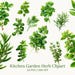 Watercolor Herb Clipart PNG – Basil, Rosemary, Parsley Kitchen Spices ...