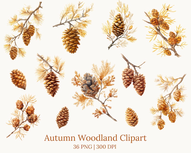 Autumn Woodland Clipart, Watercolor Acorns Berries Pinecones PNG Set ...