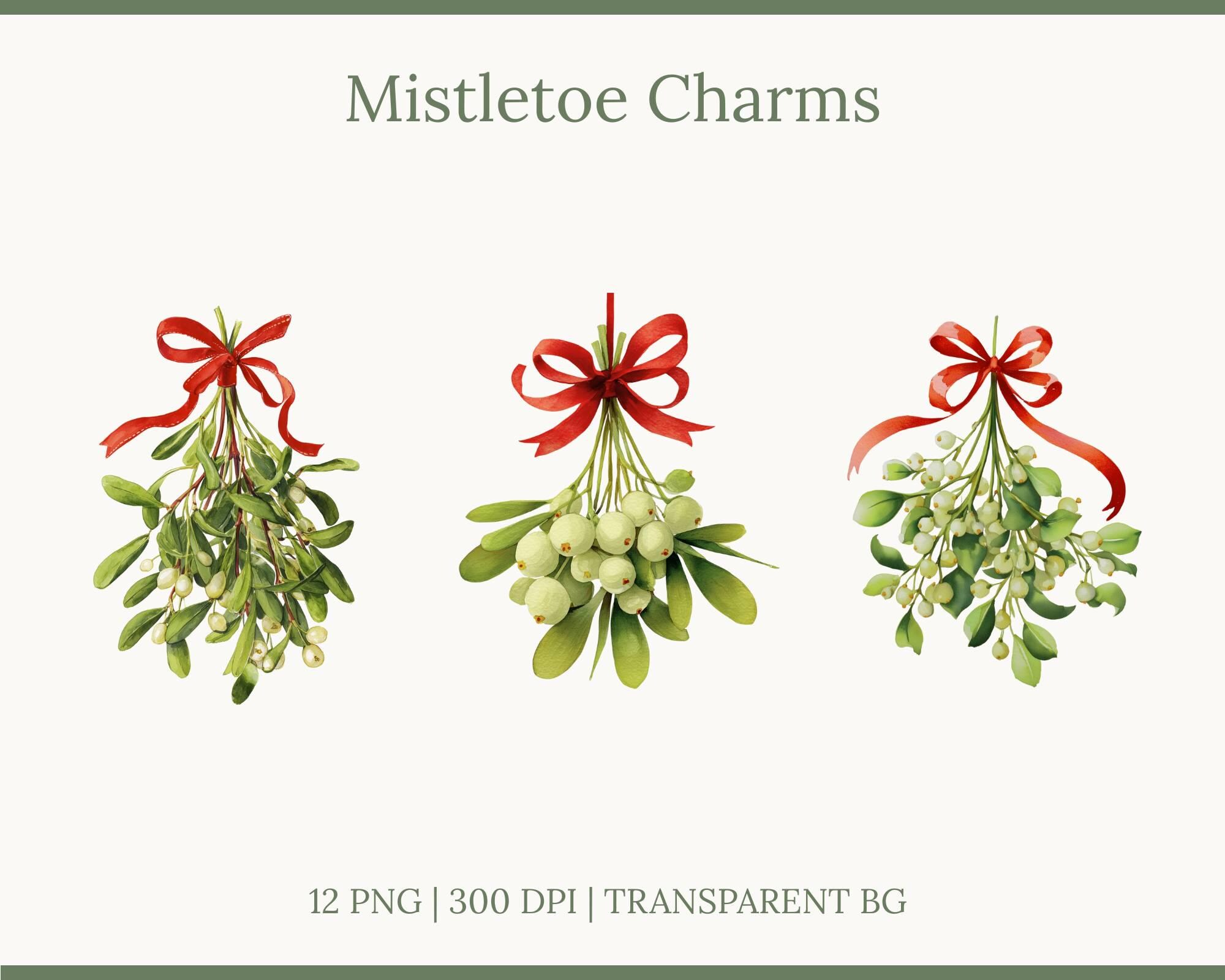 Watercolor Mistletoe Clipart, Christmas Greenery PNG, Holiday Foliage ...