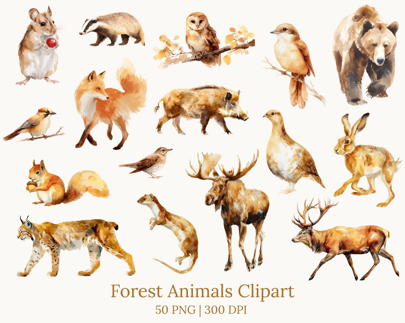 Forest Animals Clipart, Woodland Watercolor Animal PNG, Deer, Fox, Owl ...